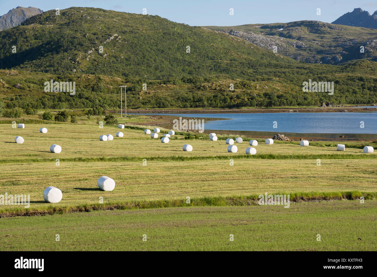 cultivated fields and hay bales at Eggum in Norway Stock Photo - Alamy