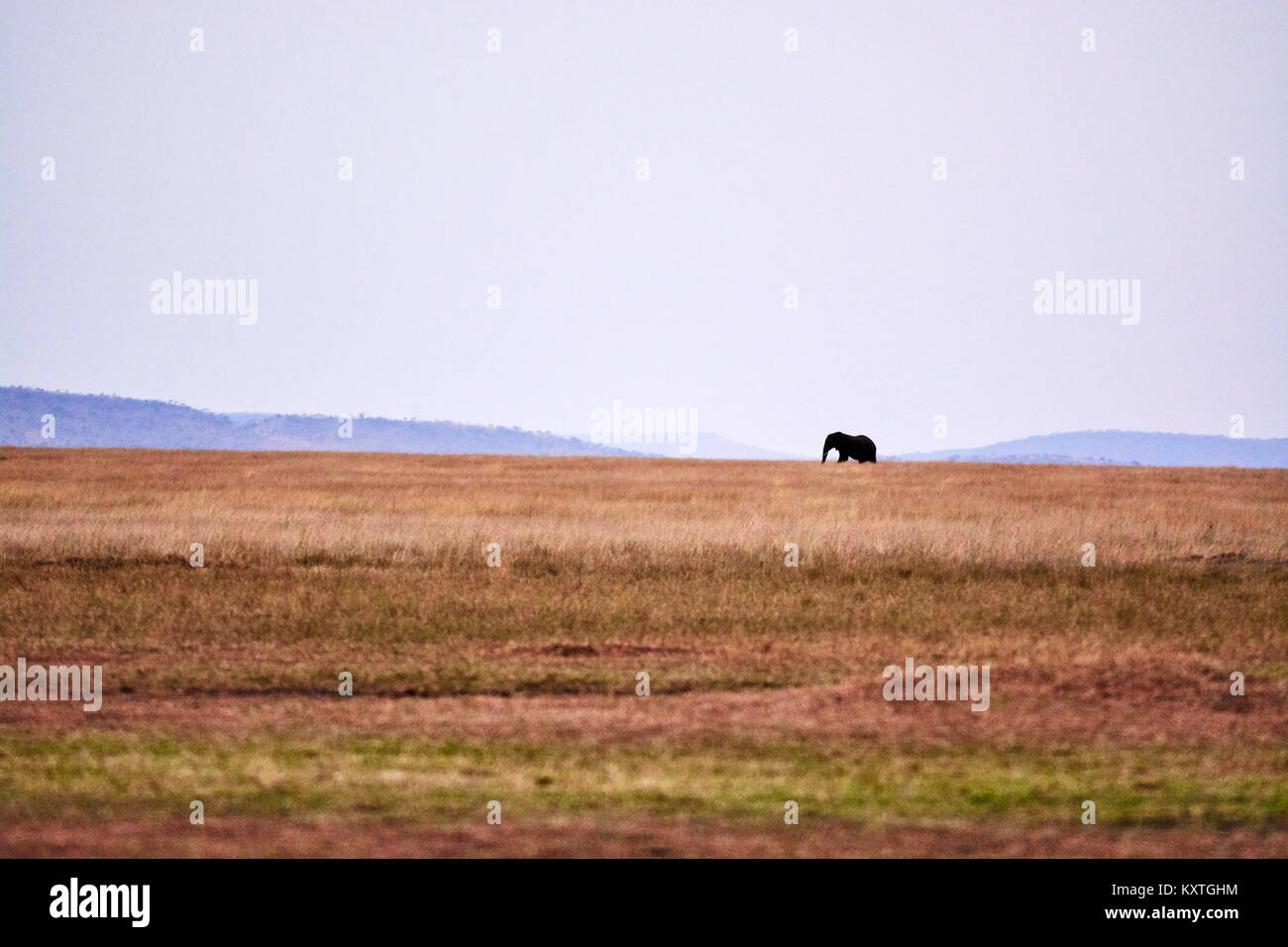 African beauty landscape Stock Photo - Alamy