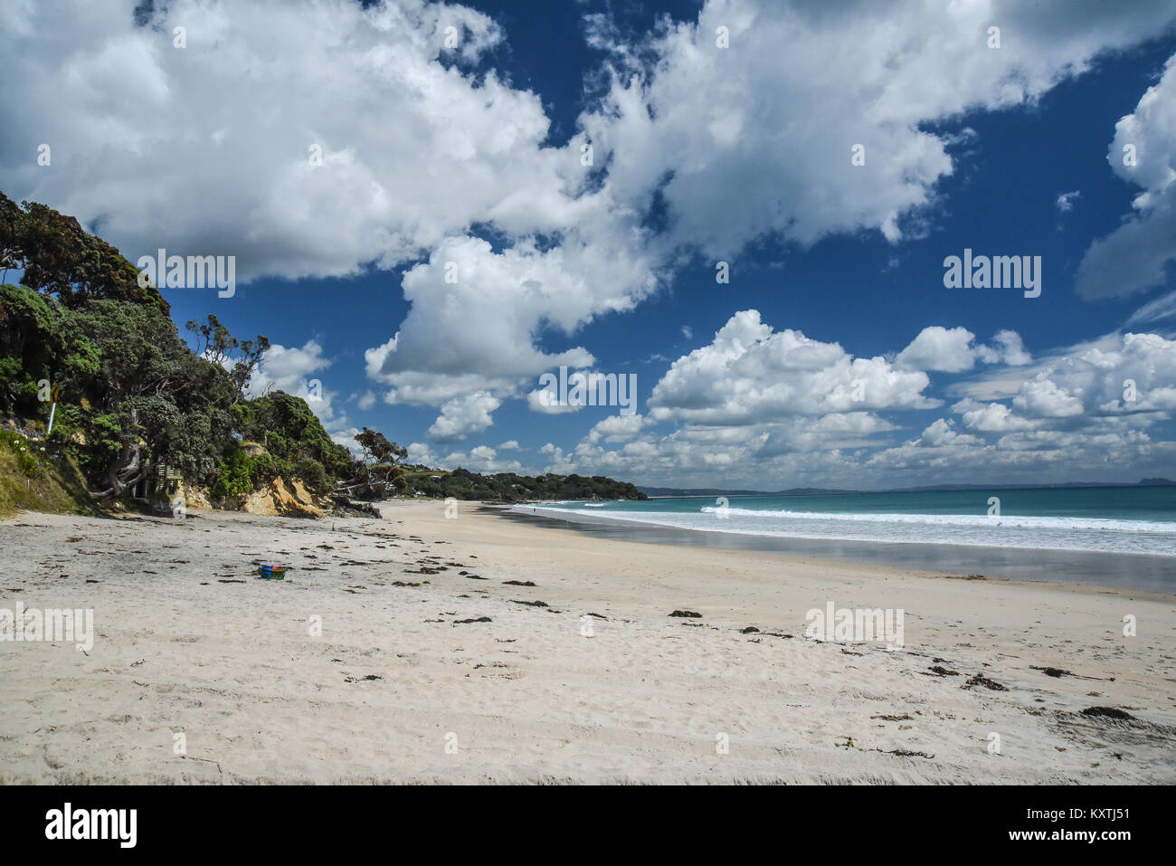 langs sandy beach, New Zealand Stock Photo - Alamy