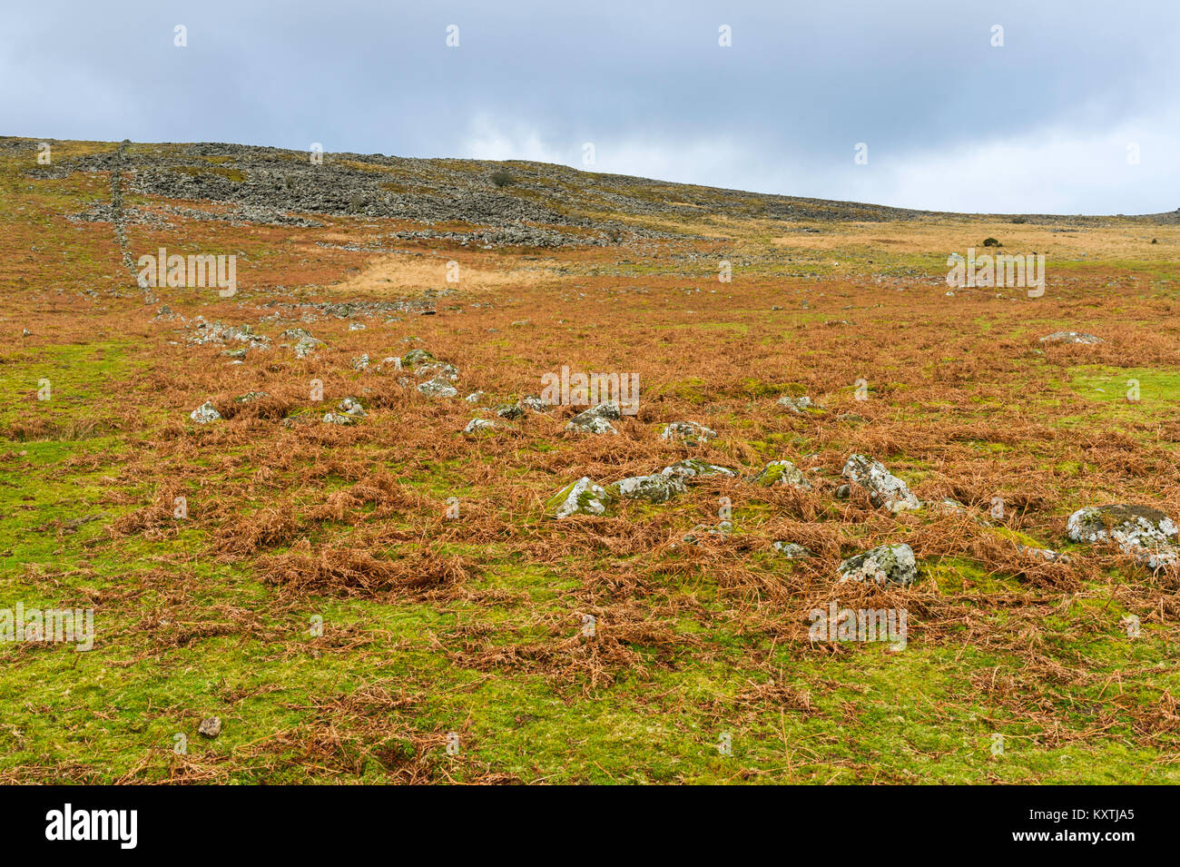 Irishman's Wall is the remains of an ancient wall, here running up ...