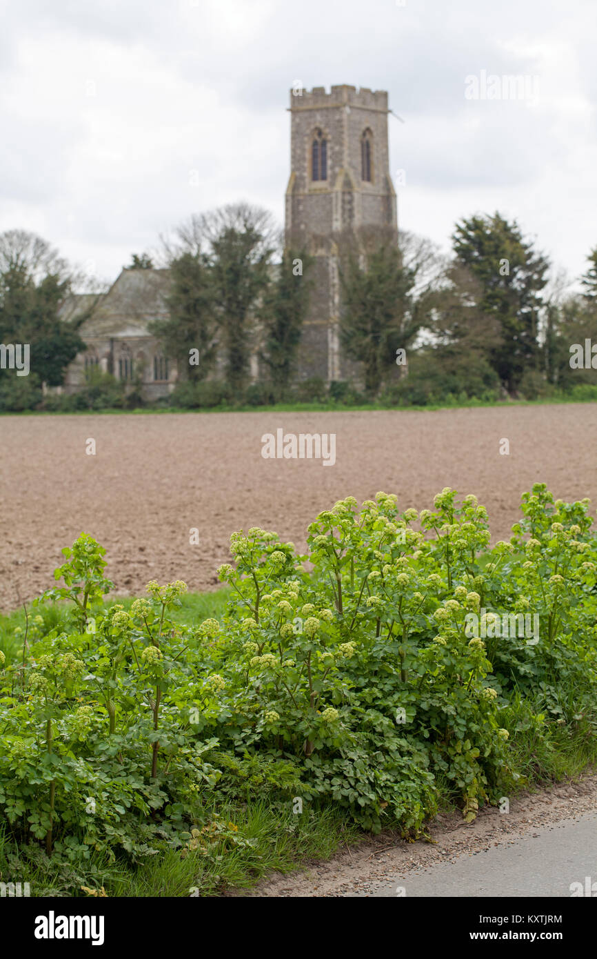 St marys church hickling village norfolk rural situation engl hi-res ...