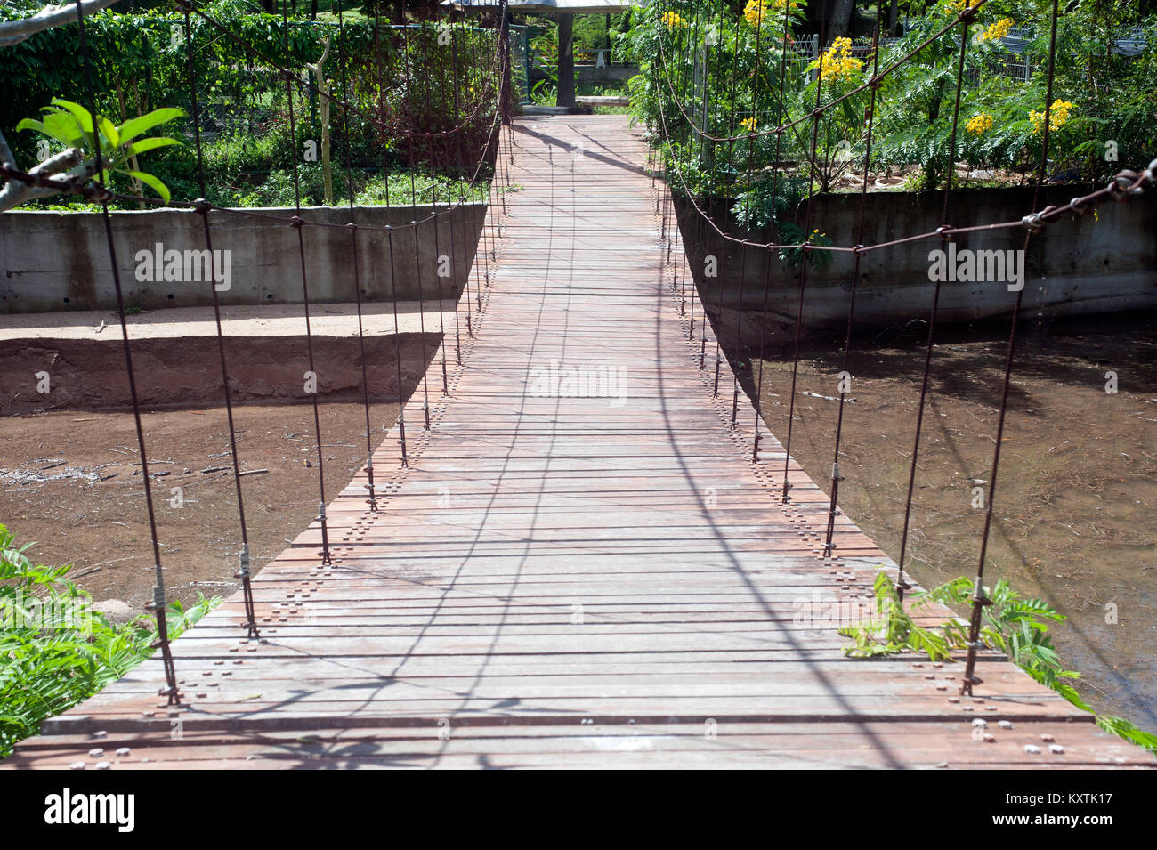 Wire hanging bridge with wooden pathway in Thailand Stock Photo - Alamy