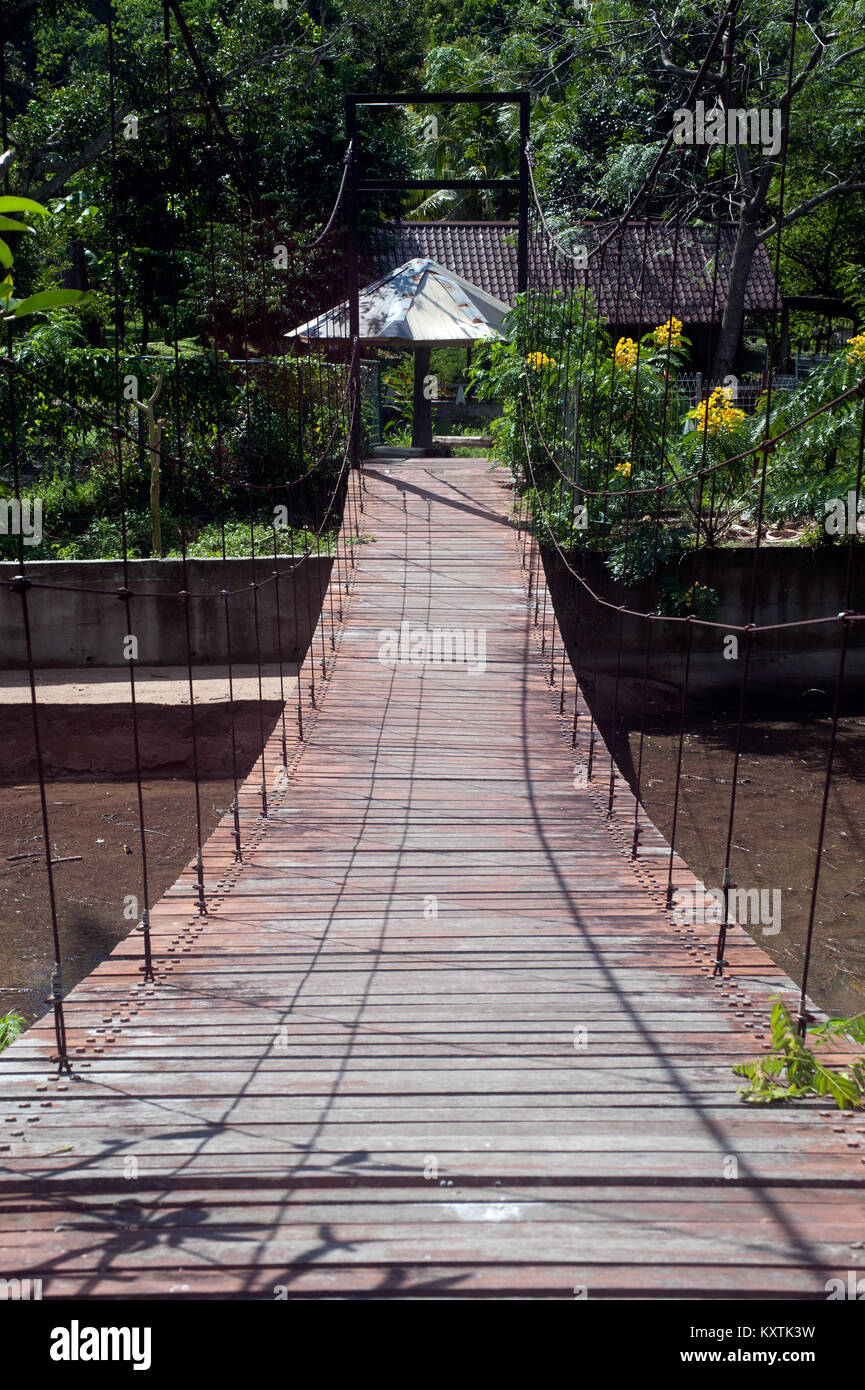 Wire hanging bridge with wooden pathway in Thailand Stock Photo - Alamy