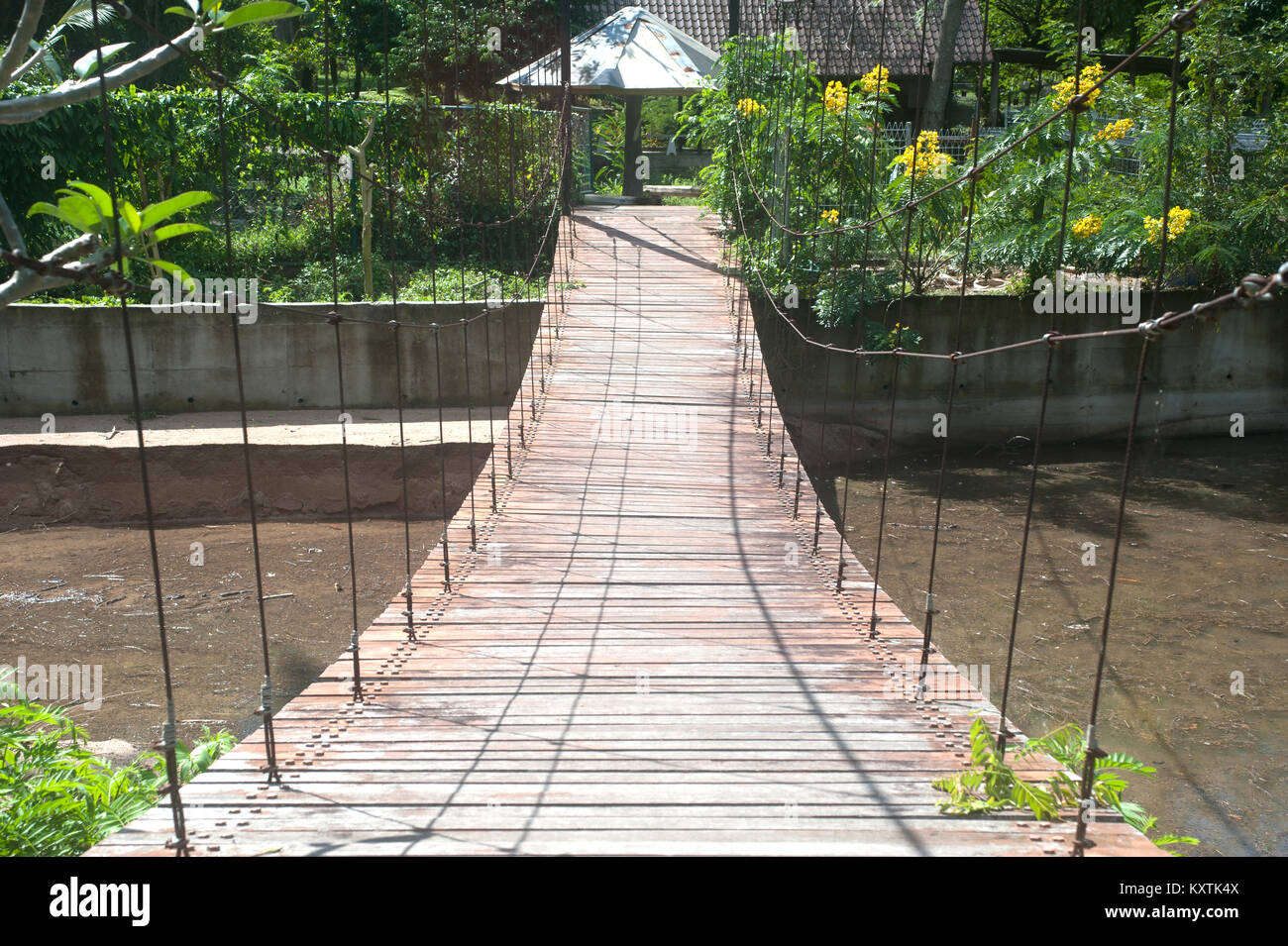 Wire hanging bridge with wooden pathway in Thailand Stock Photo - Alamy