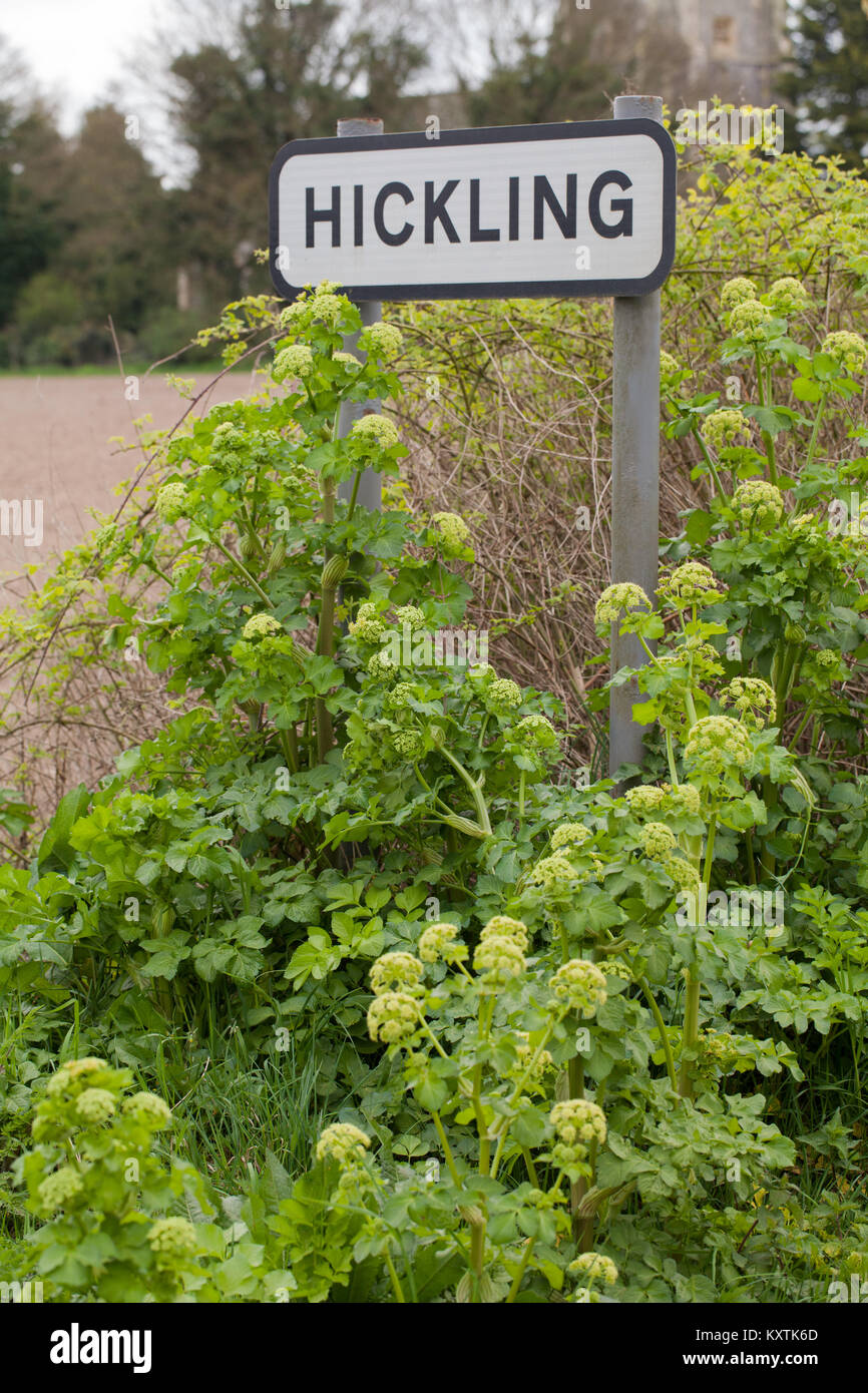 Village road sign. HICKLING, NORFOLK, Broadland. East Anglia. ENGLAND ...