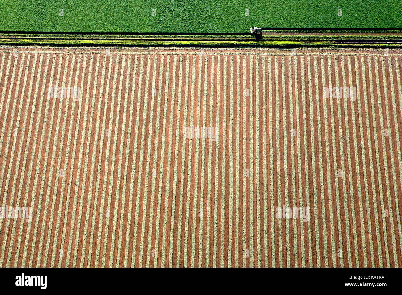 Aerial photograph over farm land in Napa Valley with farmers working ...