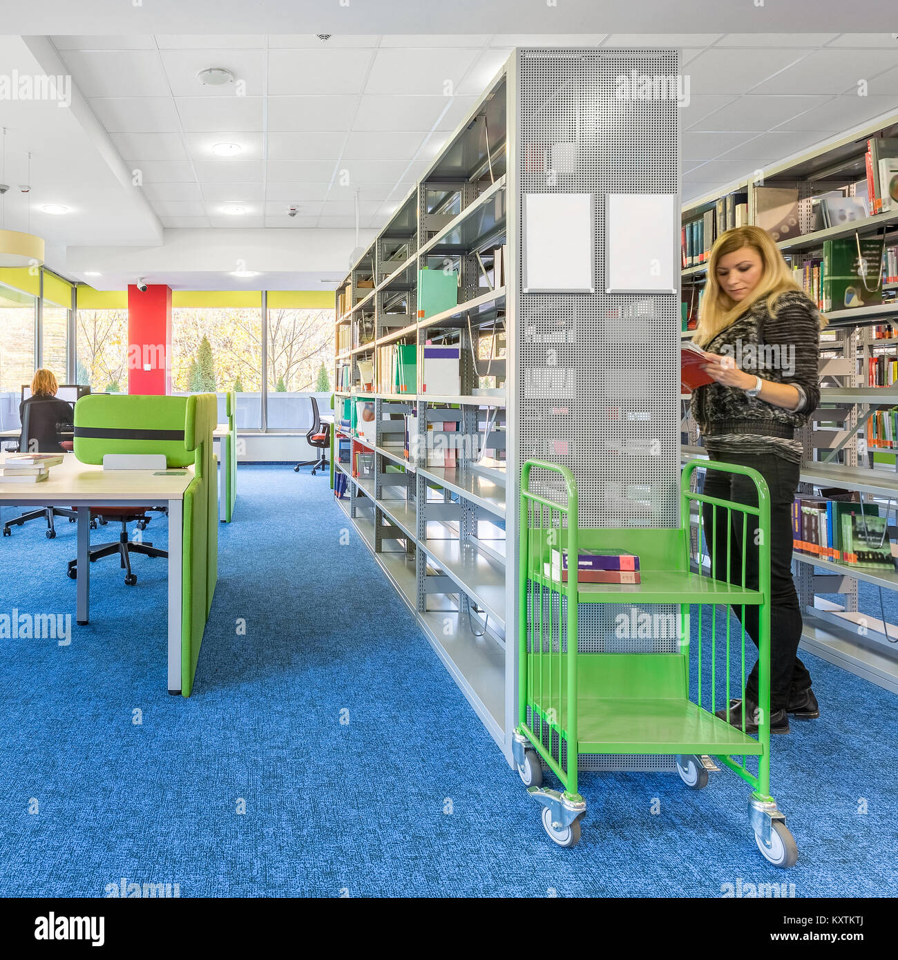 Colorful library interior with modern metal bookcase and blue floor ...