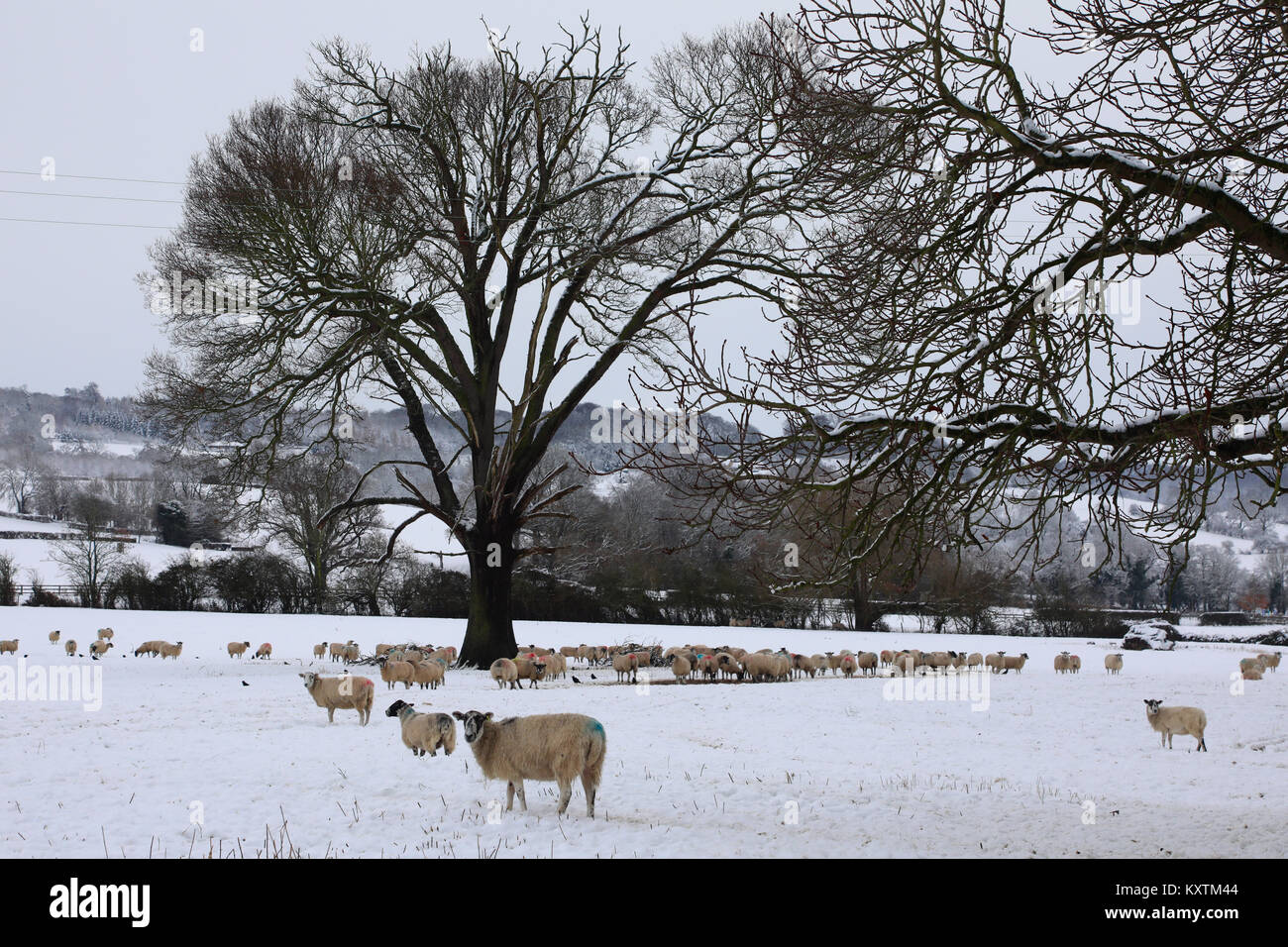 Heavy snow at the Famous village of Snowshill in Gloucestershire ...