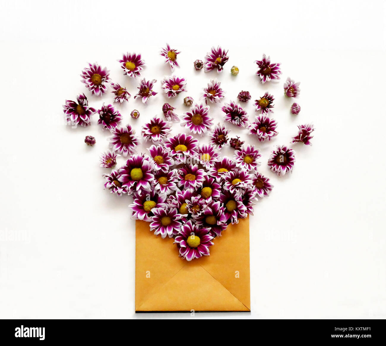 Flower buds with open paper envelope on white background. Love letter ...