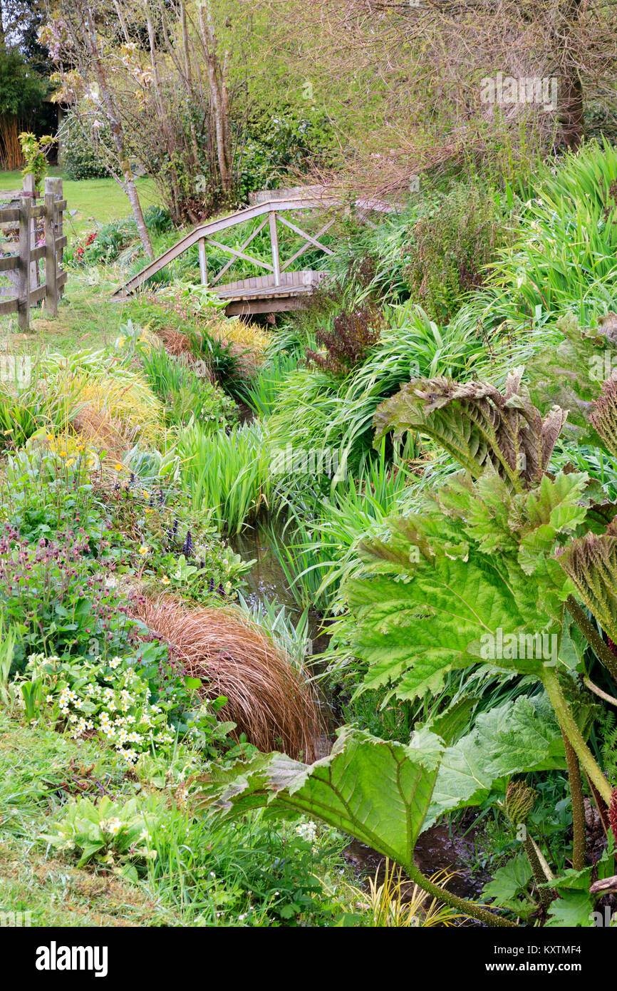 Marginal plants hi-res stock photography and images - Alamy