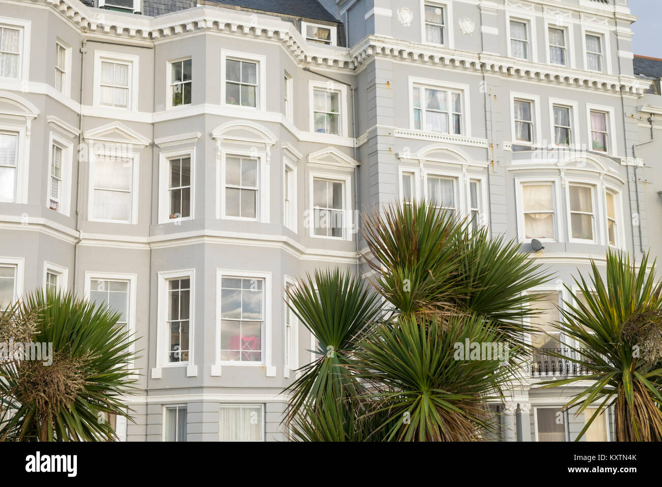 A block of victorian seafront properties with palm trees, hastings ...