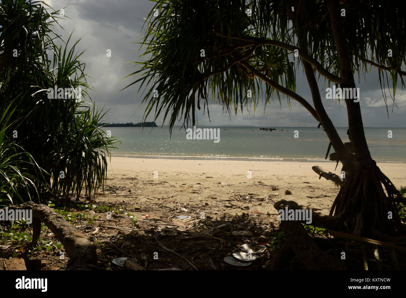 Natural bridge neil island hi-res stock photography and images - Alamy