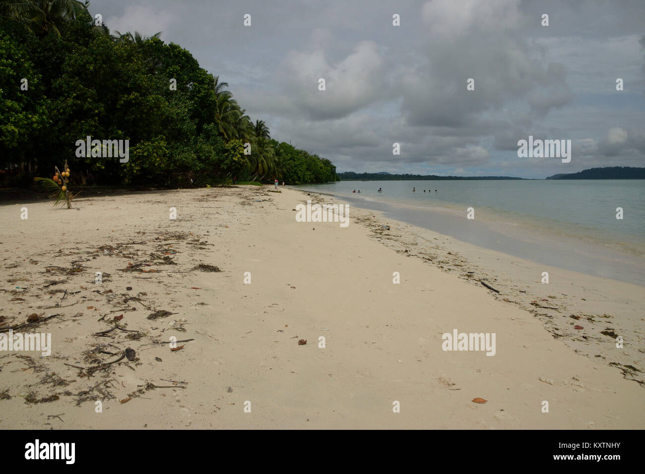 Neil island andaman hi-res stock photography and images - Alamy