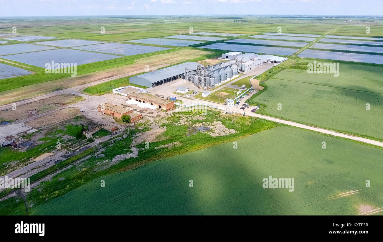 Plant for the drying and storage of grain. Rice plant in the middle of ...
