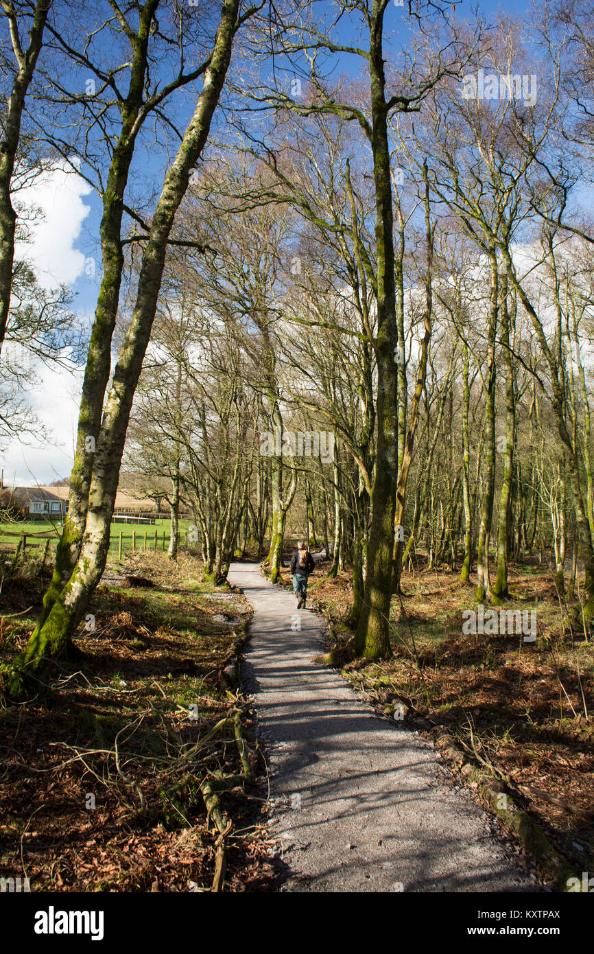Walking under the trees in early spring around Castle Loch at Lochmaben ...
