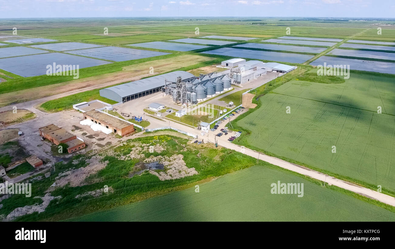 Plant for the drying and storage of grain. Rice plant in the middle of ...