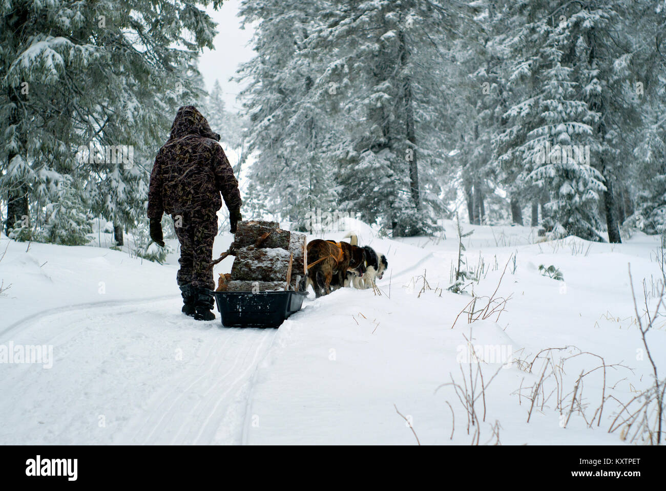 Cargo Sled High Resolution Stock Photography and Images - Alamy