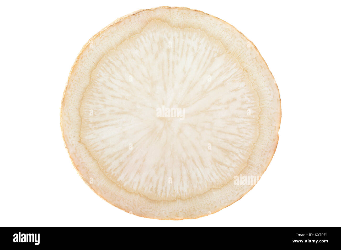 Parnsnip round slice isolated on white background Stock Photo - Alamy
