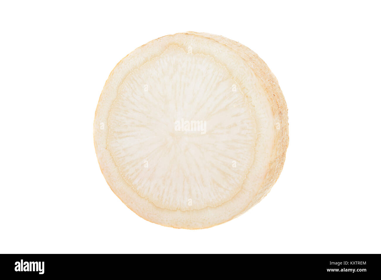 Parnsnip round slice isolated on white background Stock Photo - Alamy