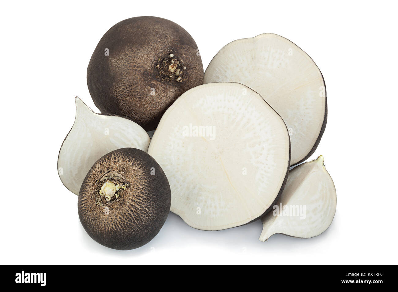 Black radish slice on white background Stock Photo - Alamy