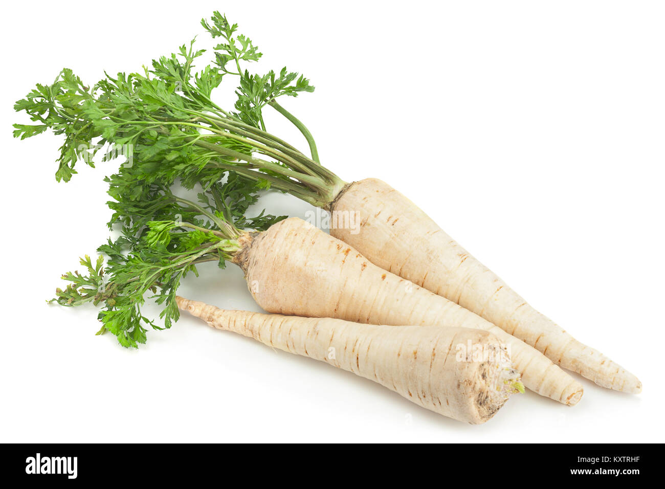 Parsnip root with leaf isolated on white background Stock Photo - Alamy