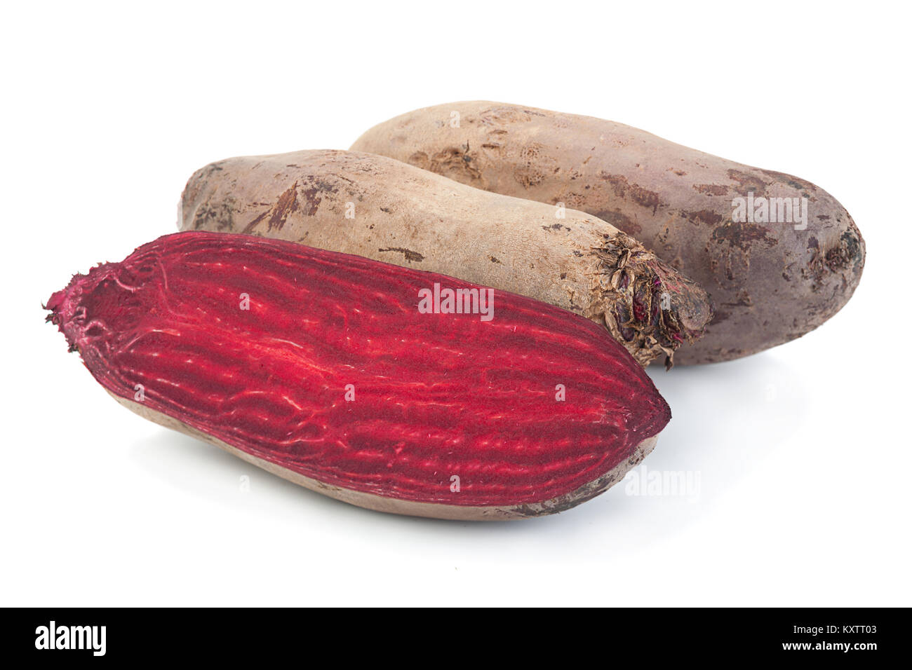 Long beet root vegetable closeup isolated on white Stock Photo - Alamy
