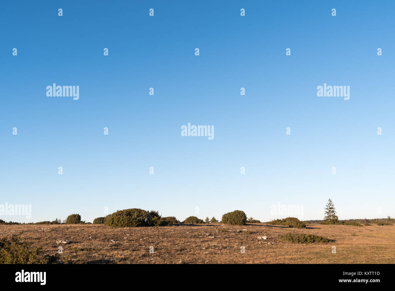 Wide open landscape, Great Alvar, an unesco world heritage site at the ...