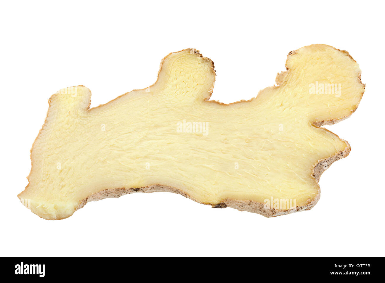 Ginger spice root isolated on white background Stock Photo - Alamy