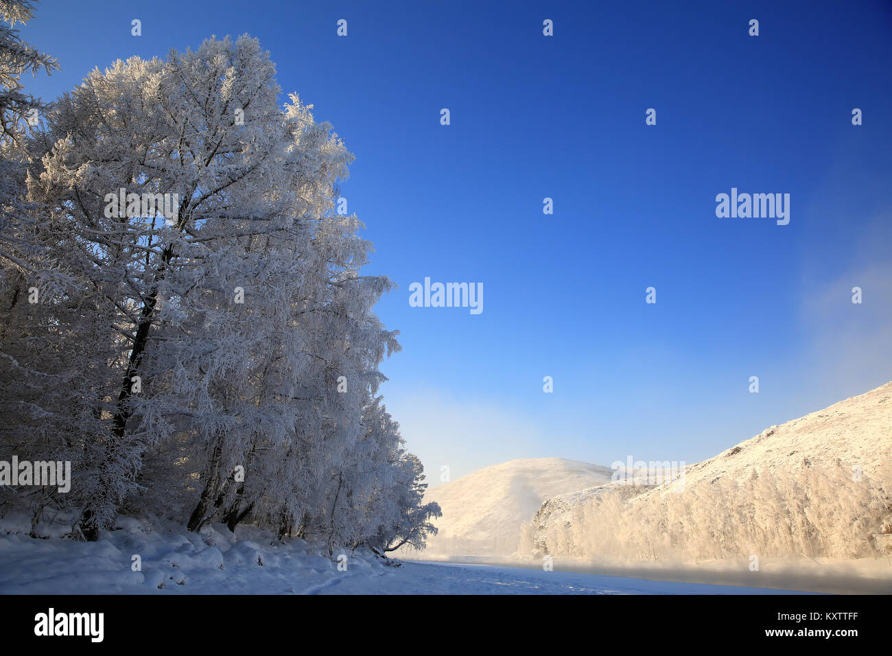 Winter landscape with snow trees Stock Photo - Alamy