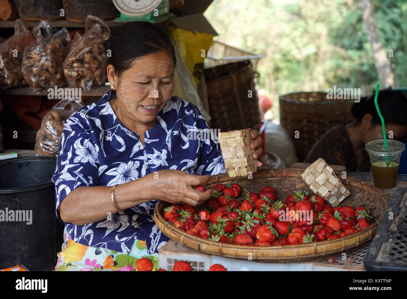 PYIN OO LWIN, MYANMAR - CIRCA APRIL 2017 Woman with strawberry Stock ...