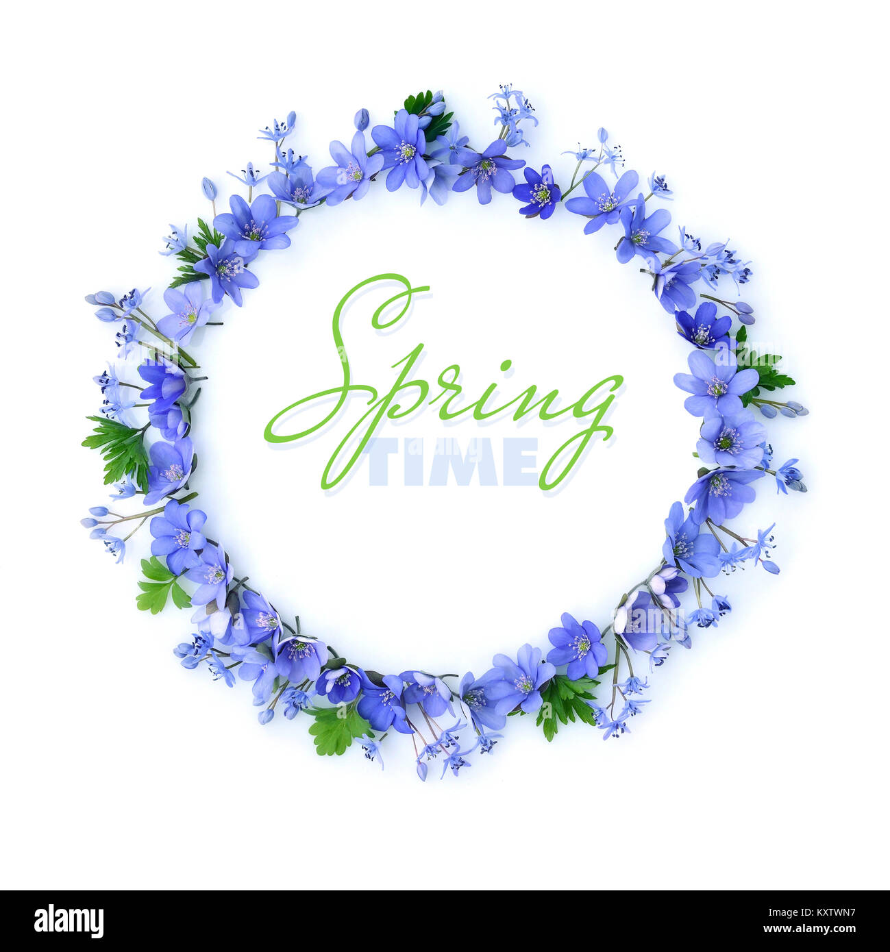 Circle made of blue spring flowers on white background. Top view. Frame ...