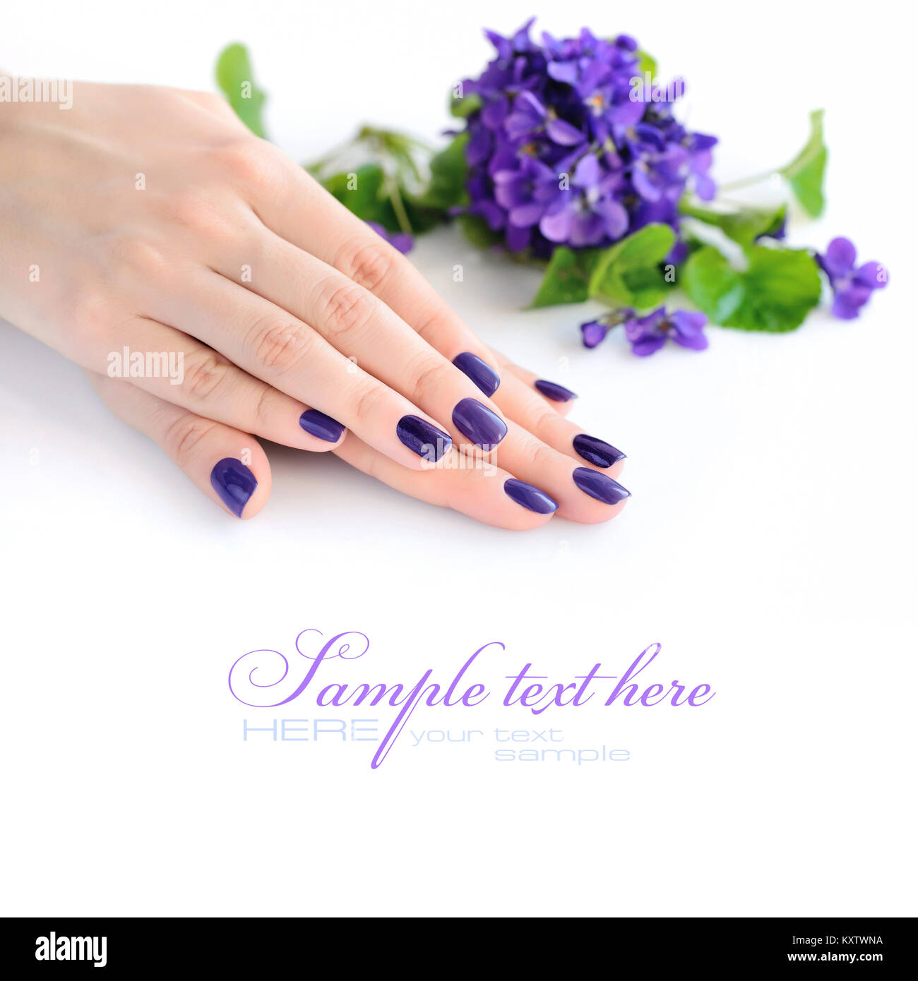 Hands of a woman with violet manicure on nails and flowers violets on a ...
