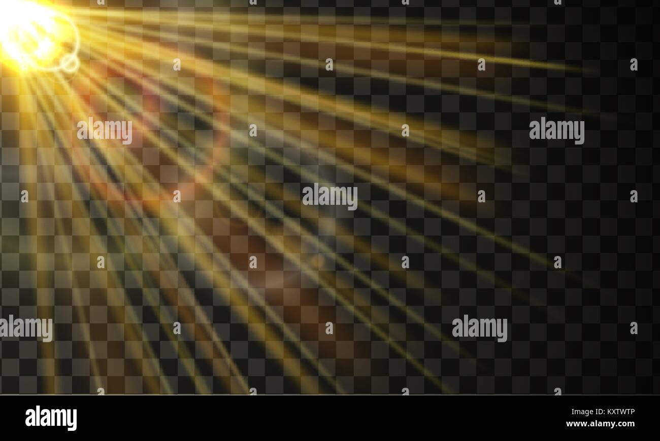 Ray sun in lens camera Stock Vector Images - Alamy