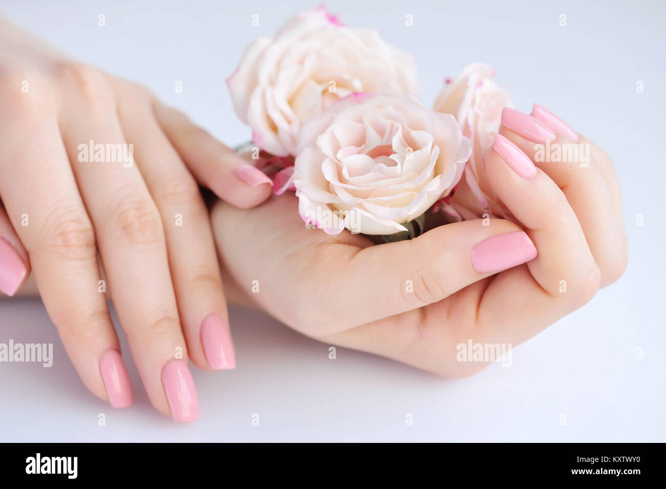 Hands of a woman with pink manicure on nails and roses Stock Photo - Alamy