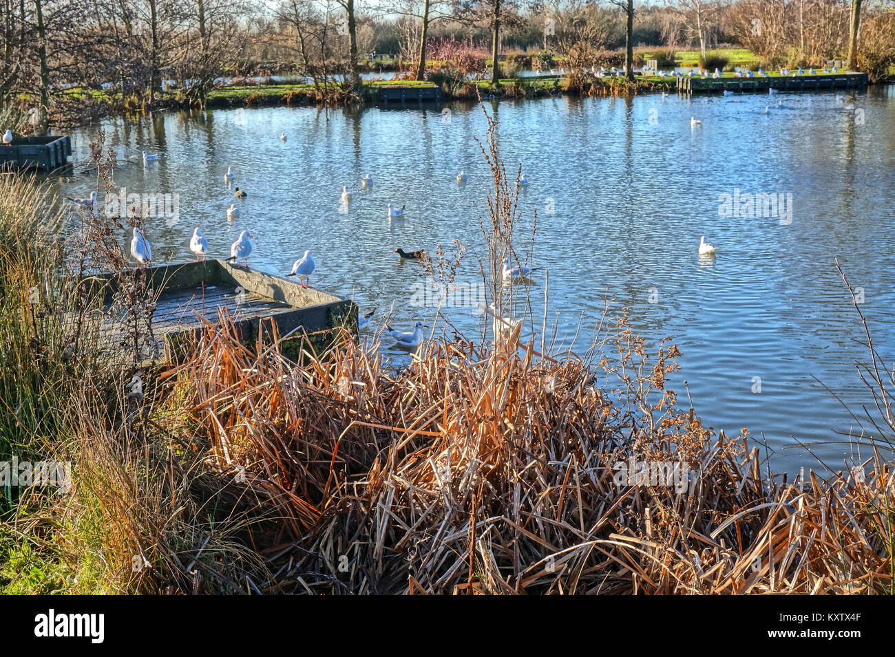 Northala Fields, Northolt, London, United Kingdom Stock Photo - Alamy