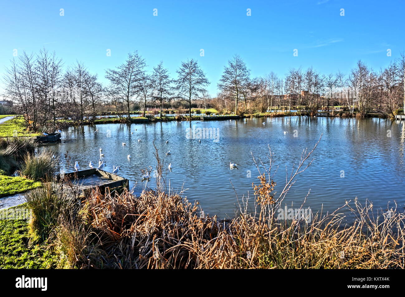 Northala Fields, Northolt, London, United Kingdom Stock Photo - Alamy