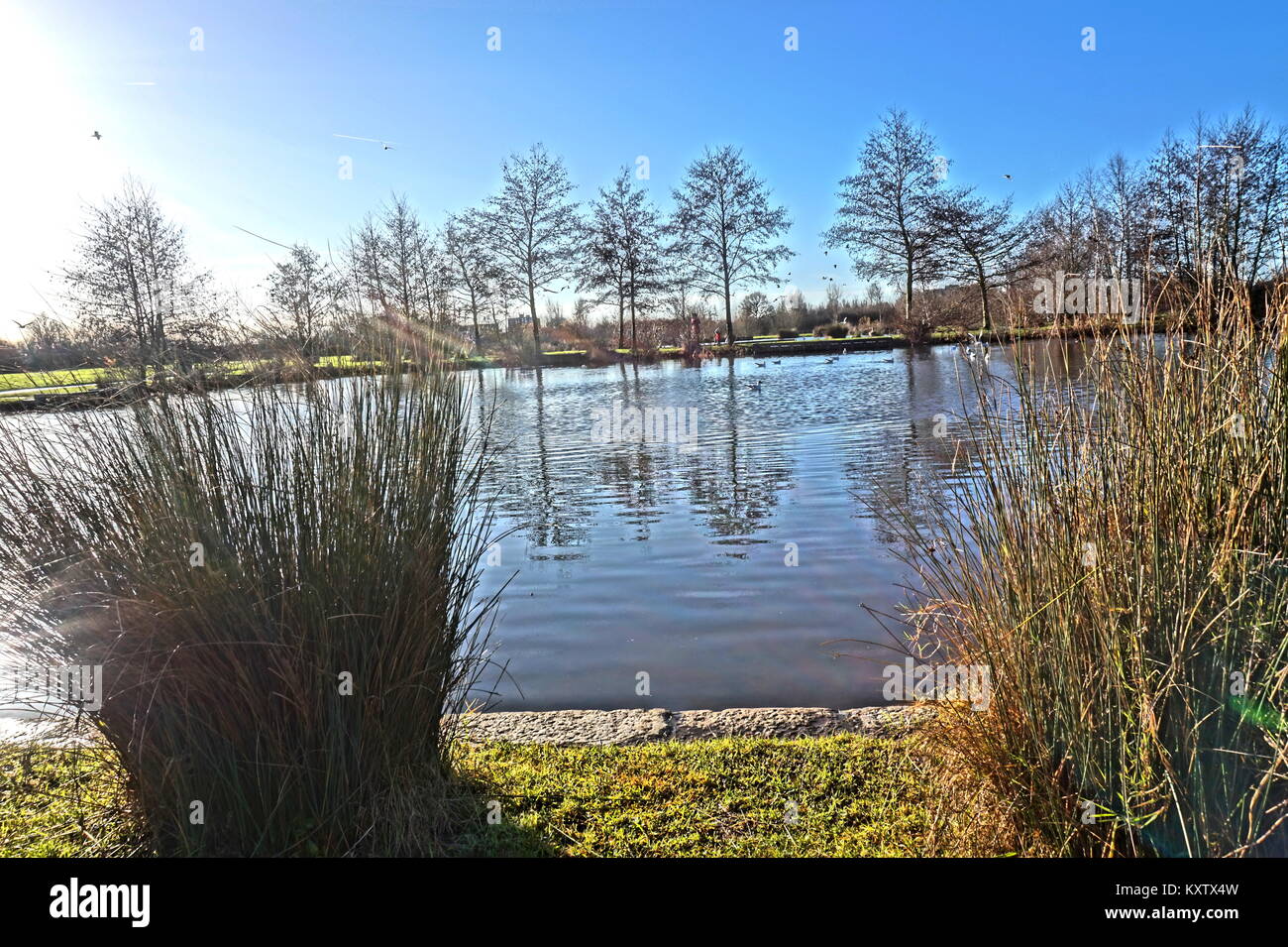 Northala Fields, Northolt, London, United Kingdom Stock Photo - Alamy