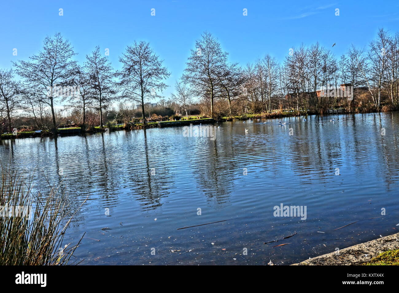 Northala Fields, Northolt, London, United Kingdom Stock Photo - Alamy