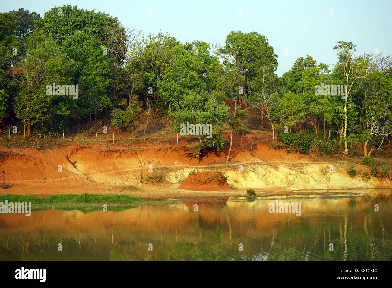 Water in small pond near farm fields in Myanmar Stock Photo - Alamy