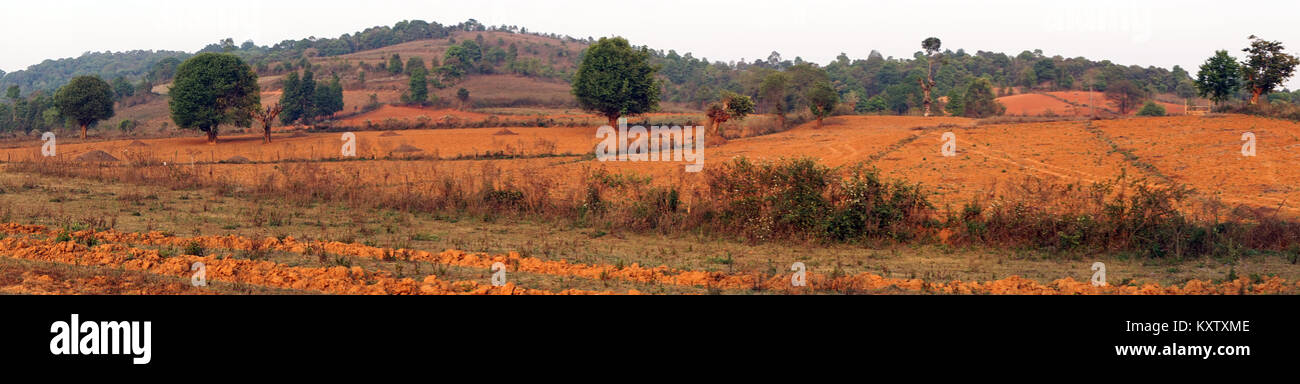 Panorama of red soil with trees in Myanmar Stock Photo - Alamy