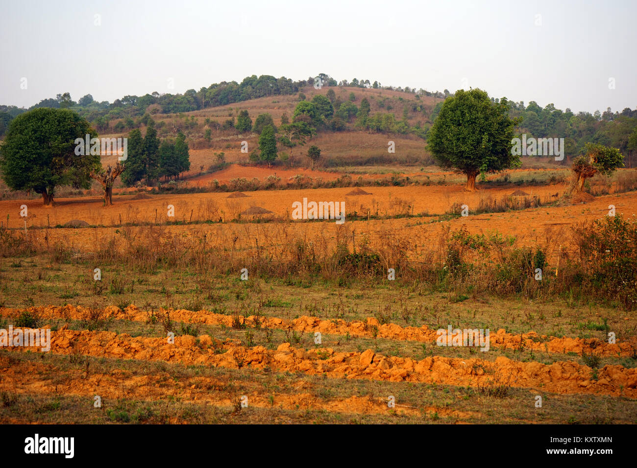 Soil slope hi-res stock photography and images - Alamy