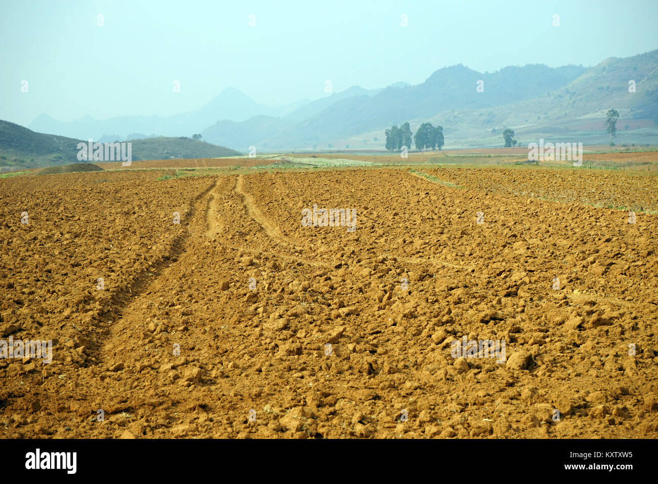 Plowed land with track Stock Photo - Alamy