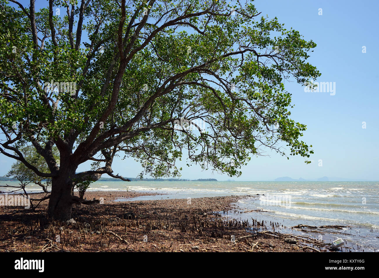 Big lanta island hi-res stock photography and images - Alamy