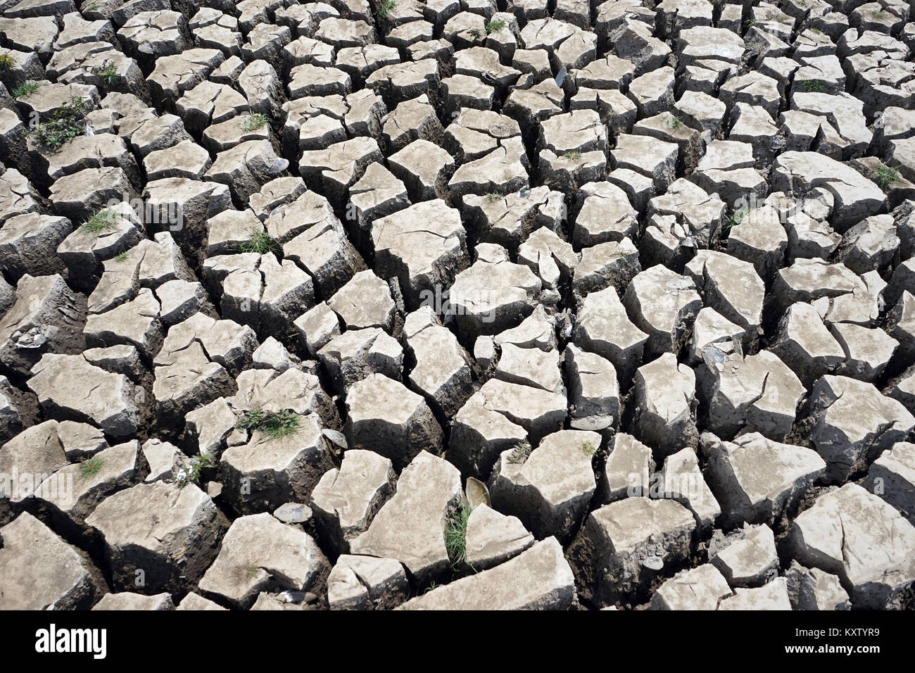 Ground after drought on the farm field Stock Photo - Alamy