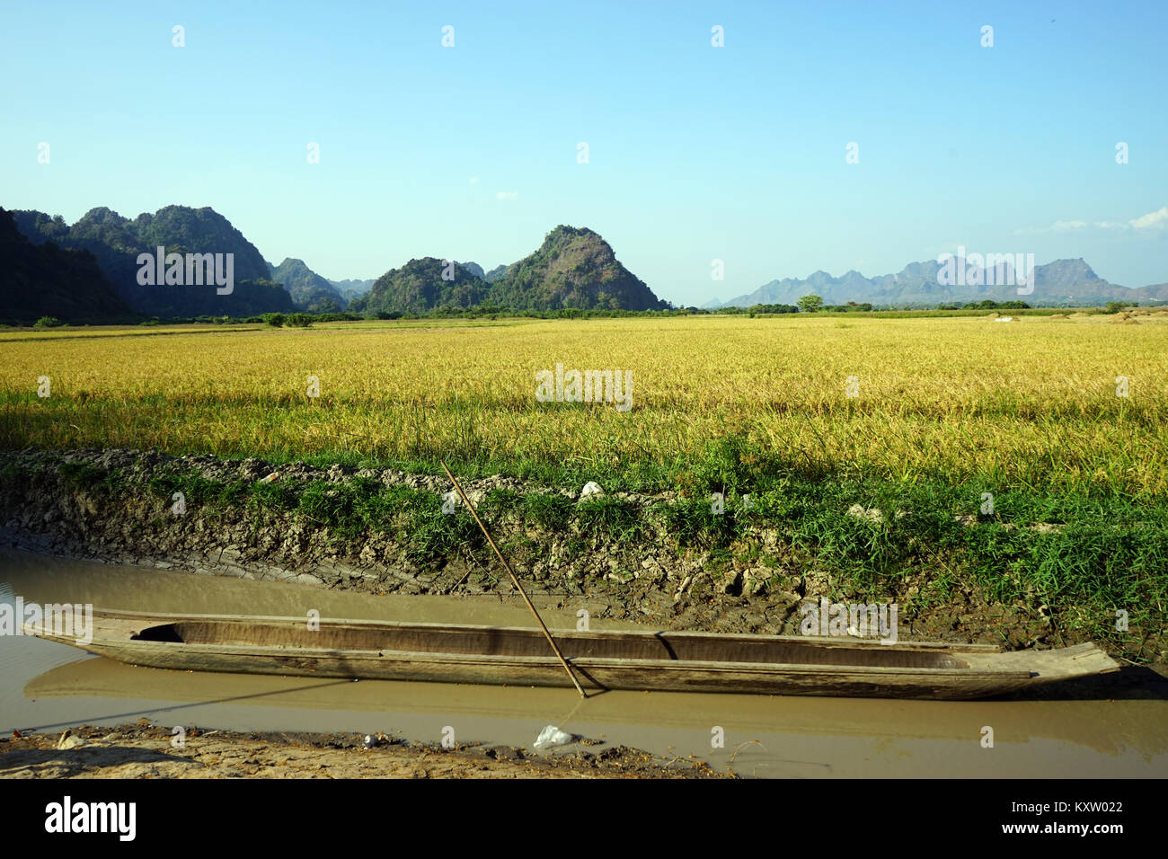 Wooden boat in chanel near rice field in Myanmar Stock Photo - Alamy