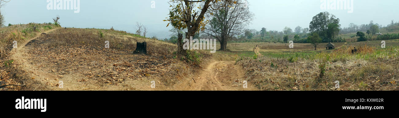 Track on the farm field in Myanmar Stock Photo - Alamy