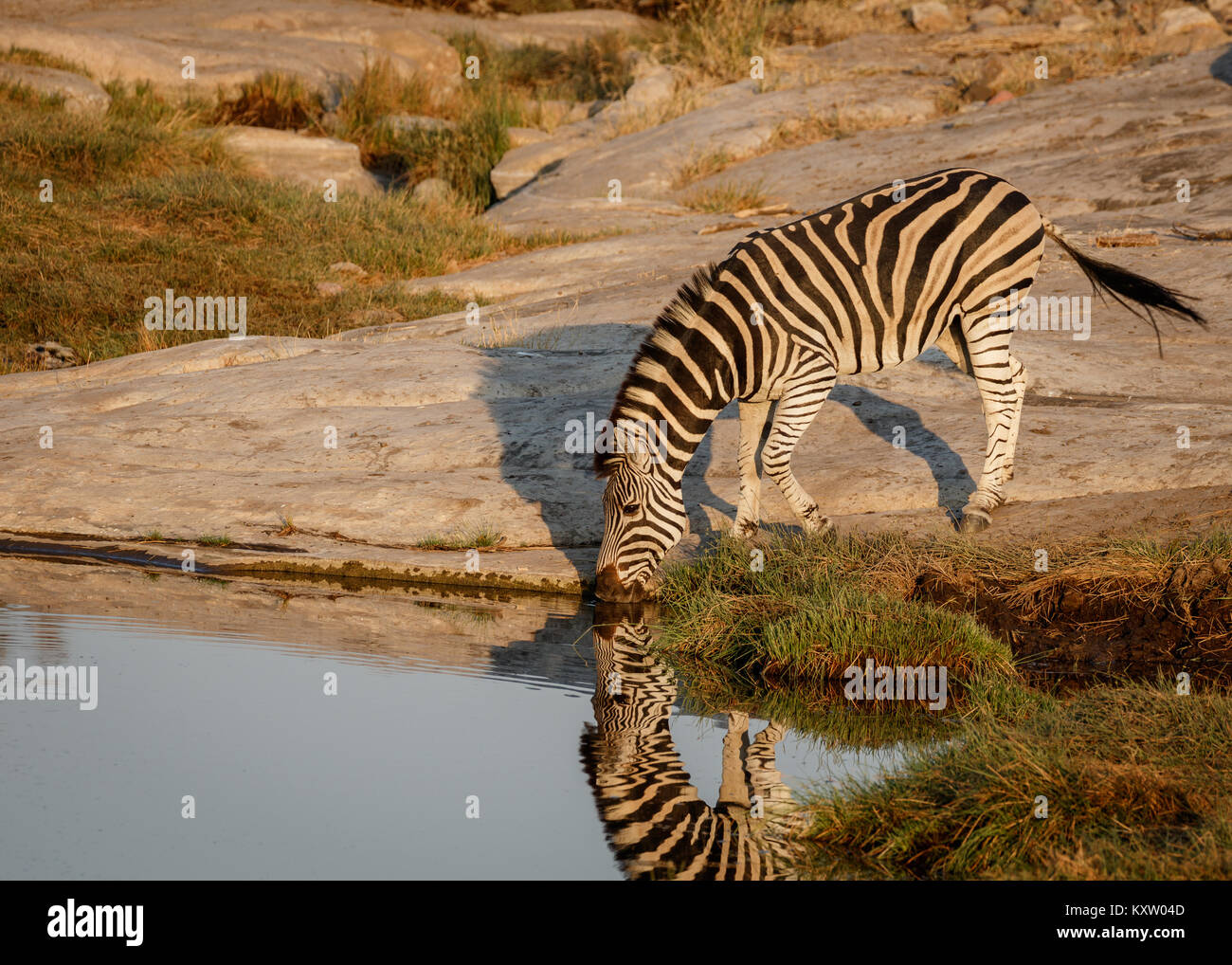 Black and white south africa rocks hi-res stock photography and images ...