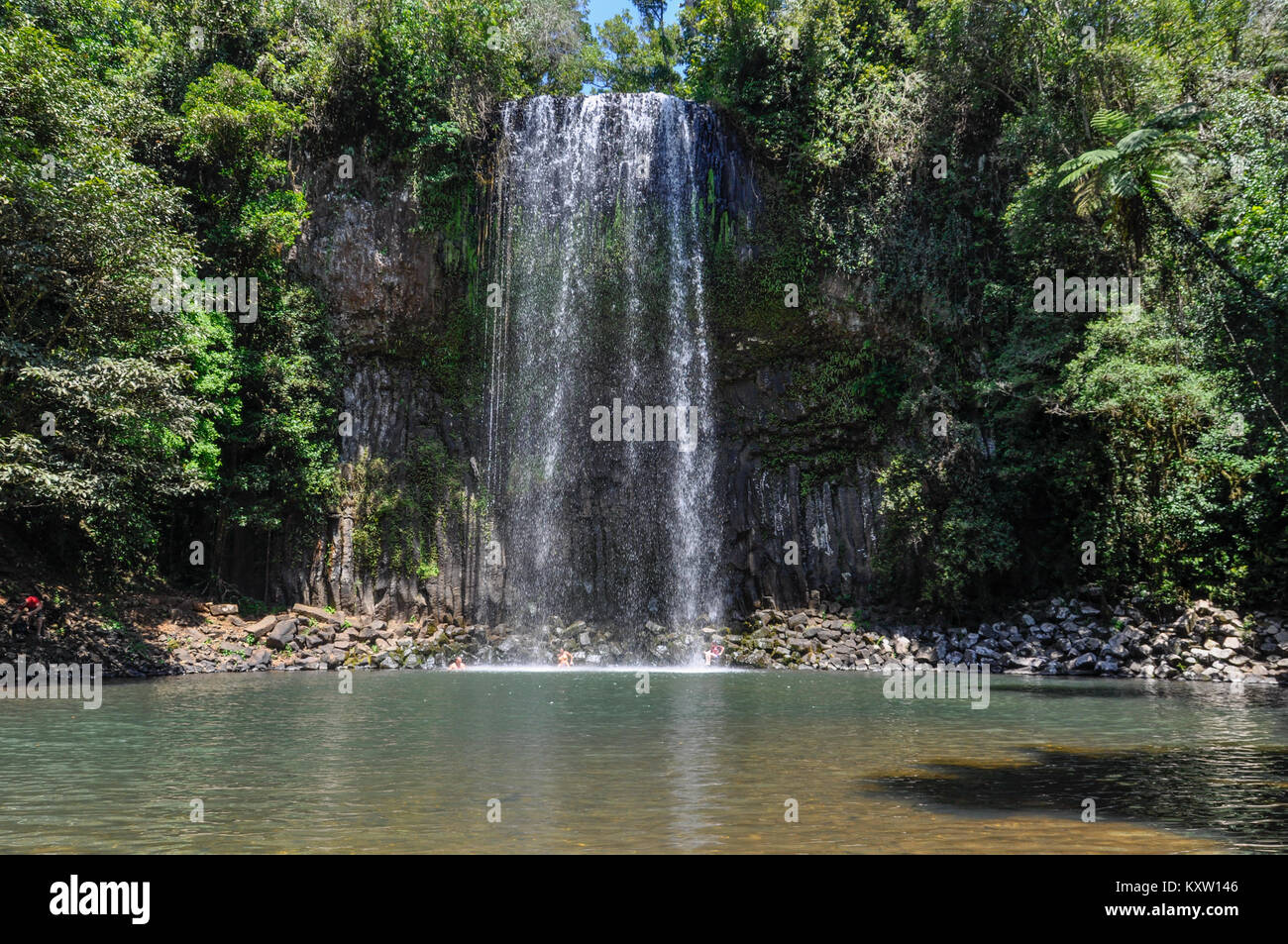 Millaa Millaa Falls in Atherton Tablelands in Queensland, Australia ...