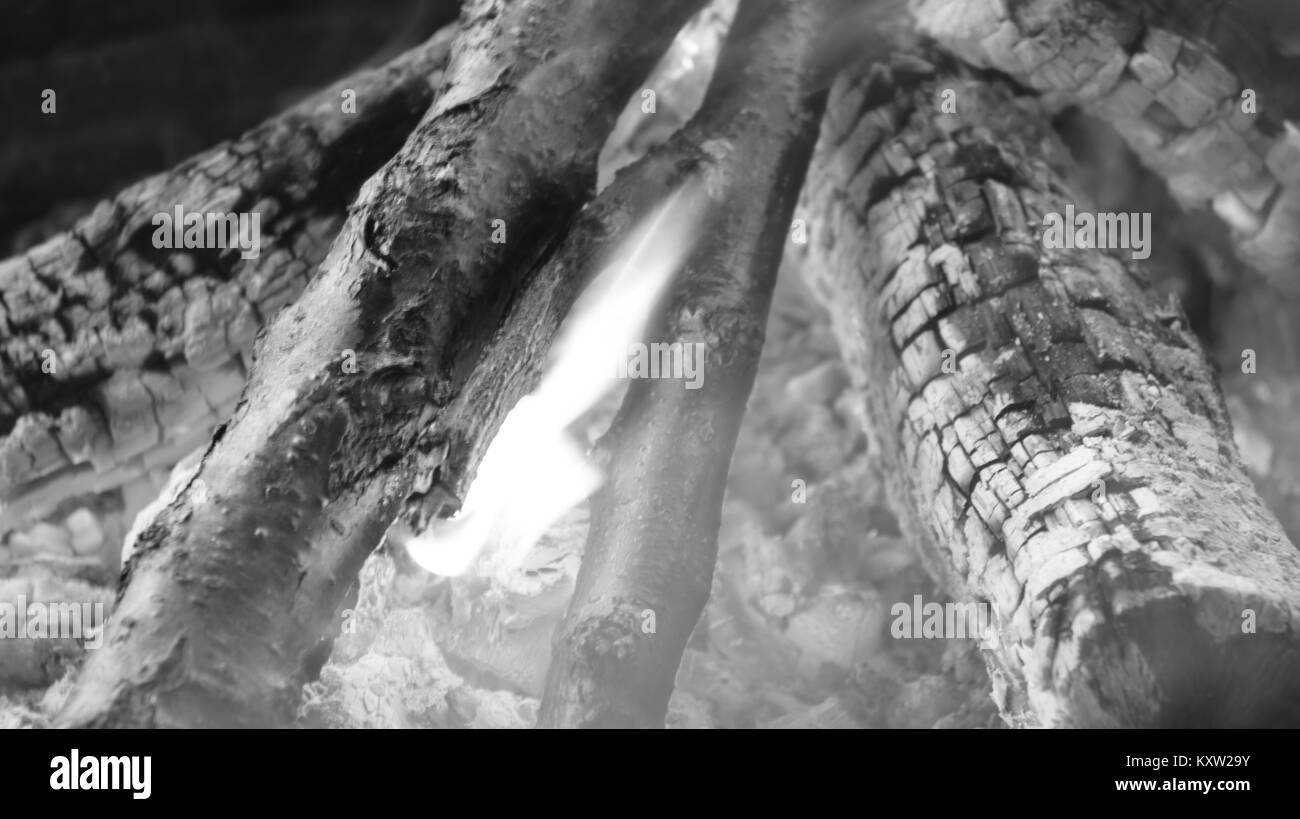 Black and White Burning fire wood. Close-up of glowing coals and fire ...