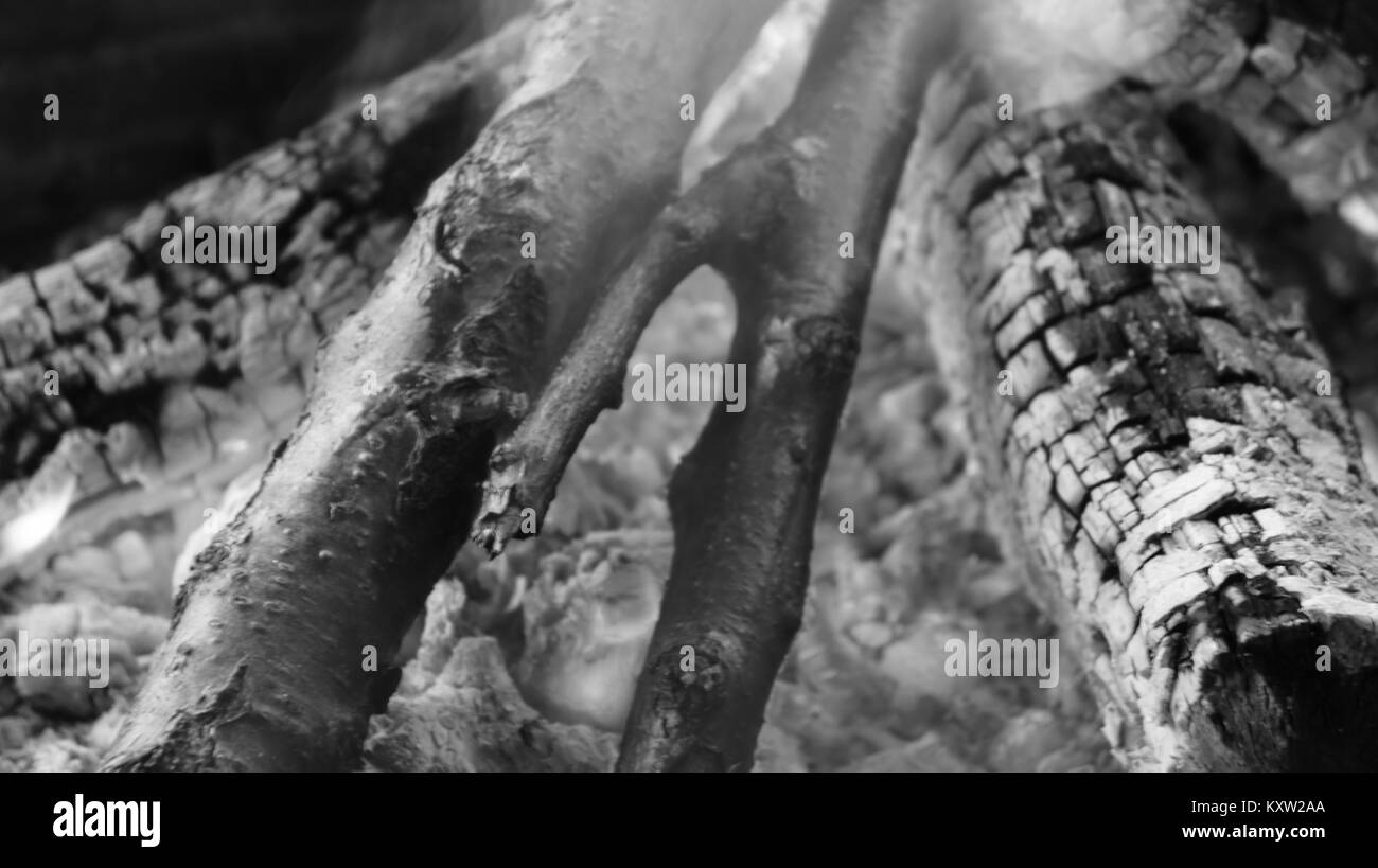 Black and White Burning fire wood. Close up of glowing coals and fire ...